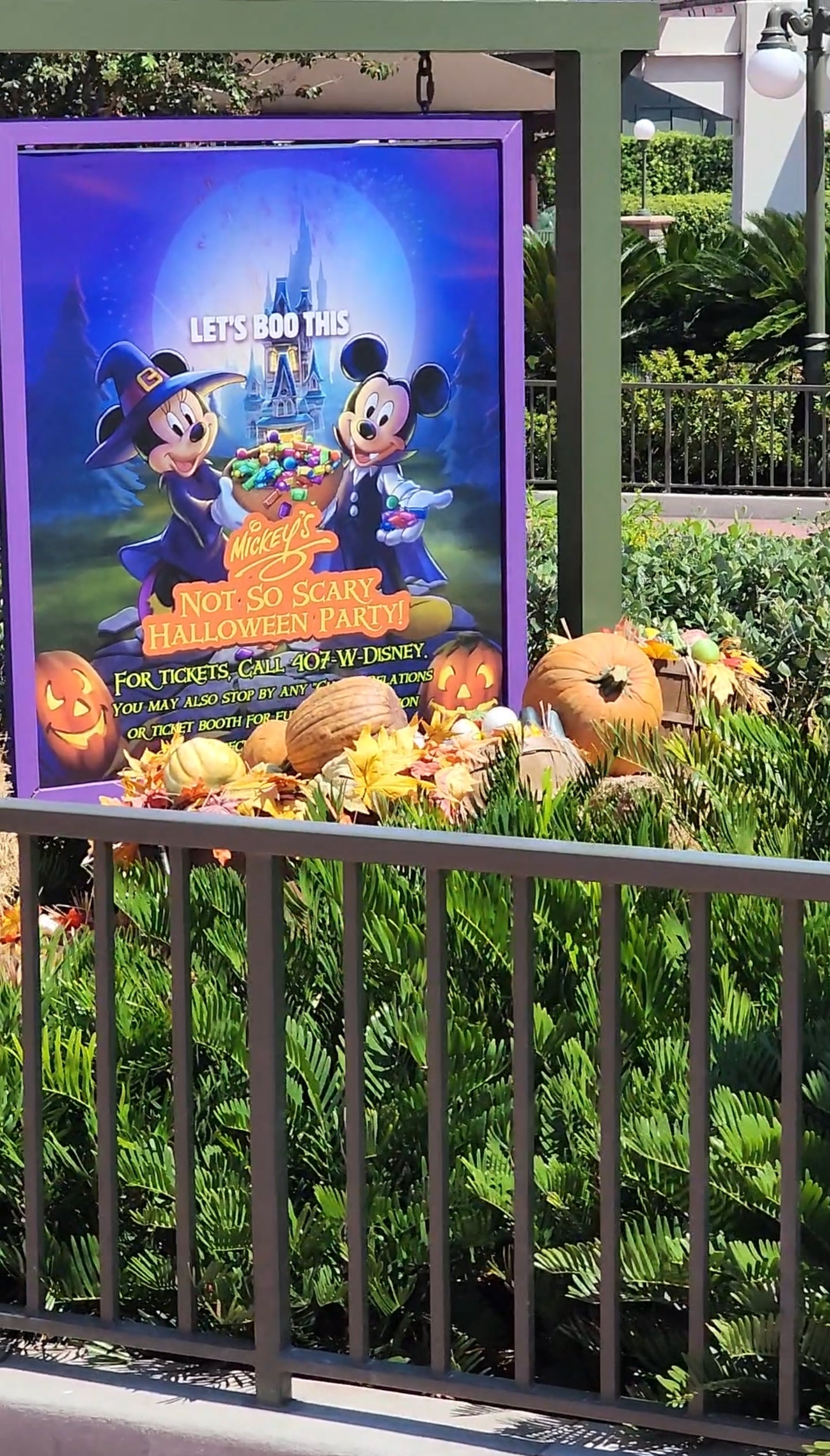 No B.S. Guide to Mickey's Not So Scary! – ETRNL YOUTH